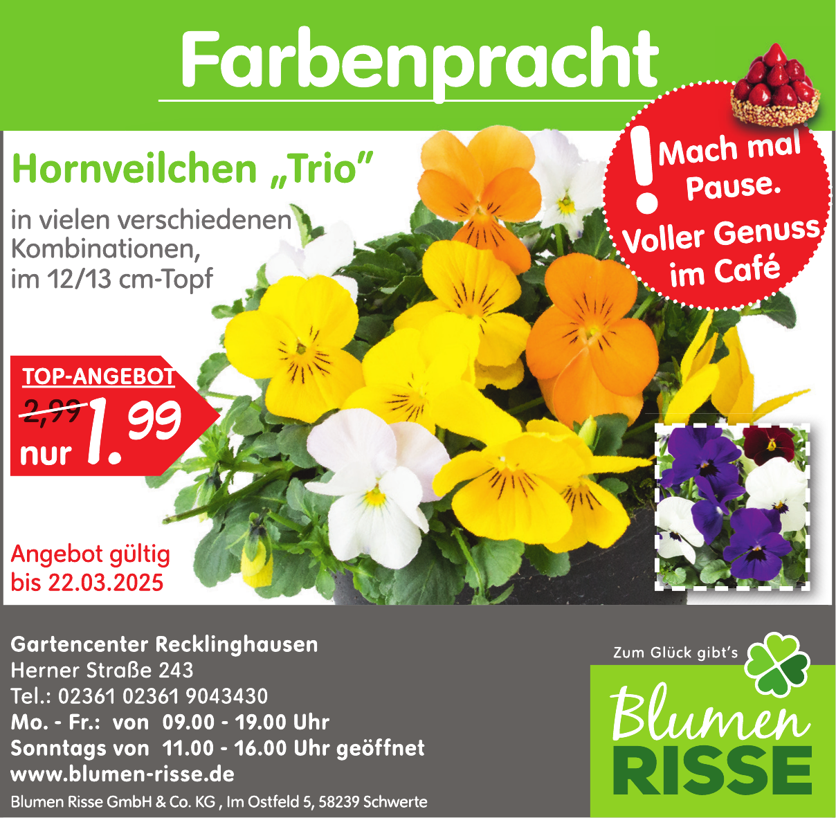 Blumen Risse Gartencenter Recklinghausen | Einzelhandel & Einkaufen in Recklinghausen